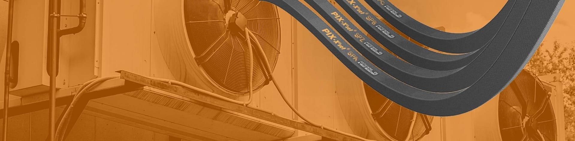 Wrapped Wedge - DistagQCS